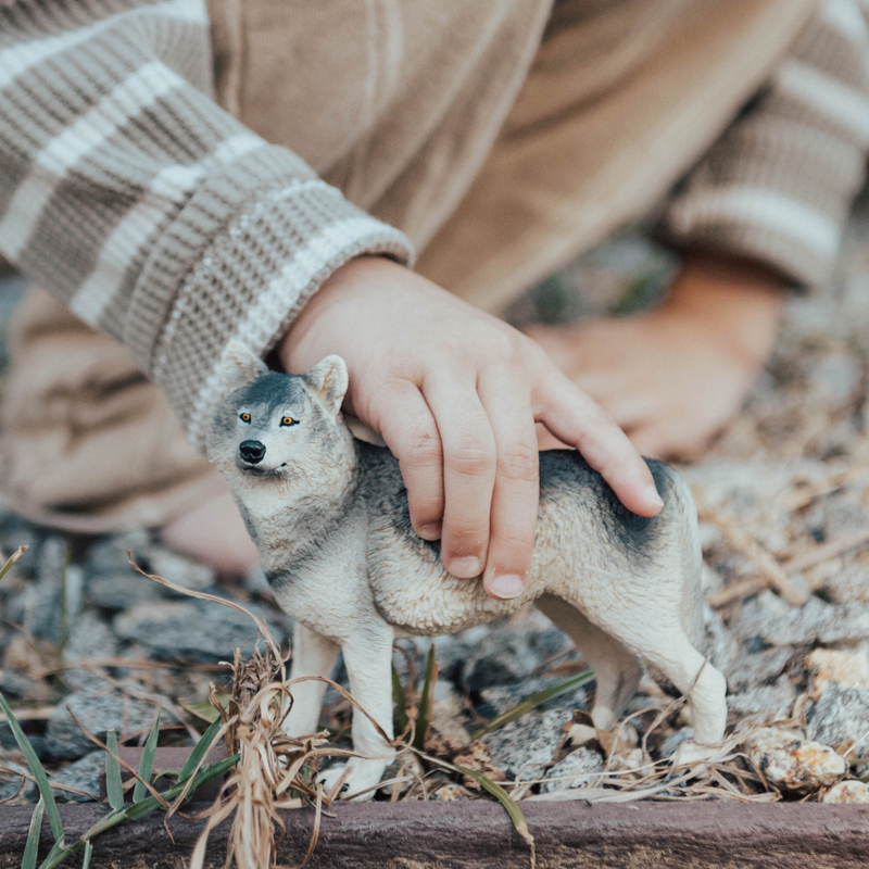 Gray Wolf Toy - Realistic Wolf Figurine from Wild Safari® Wildlife ...