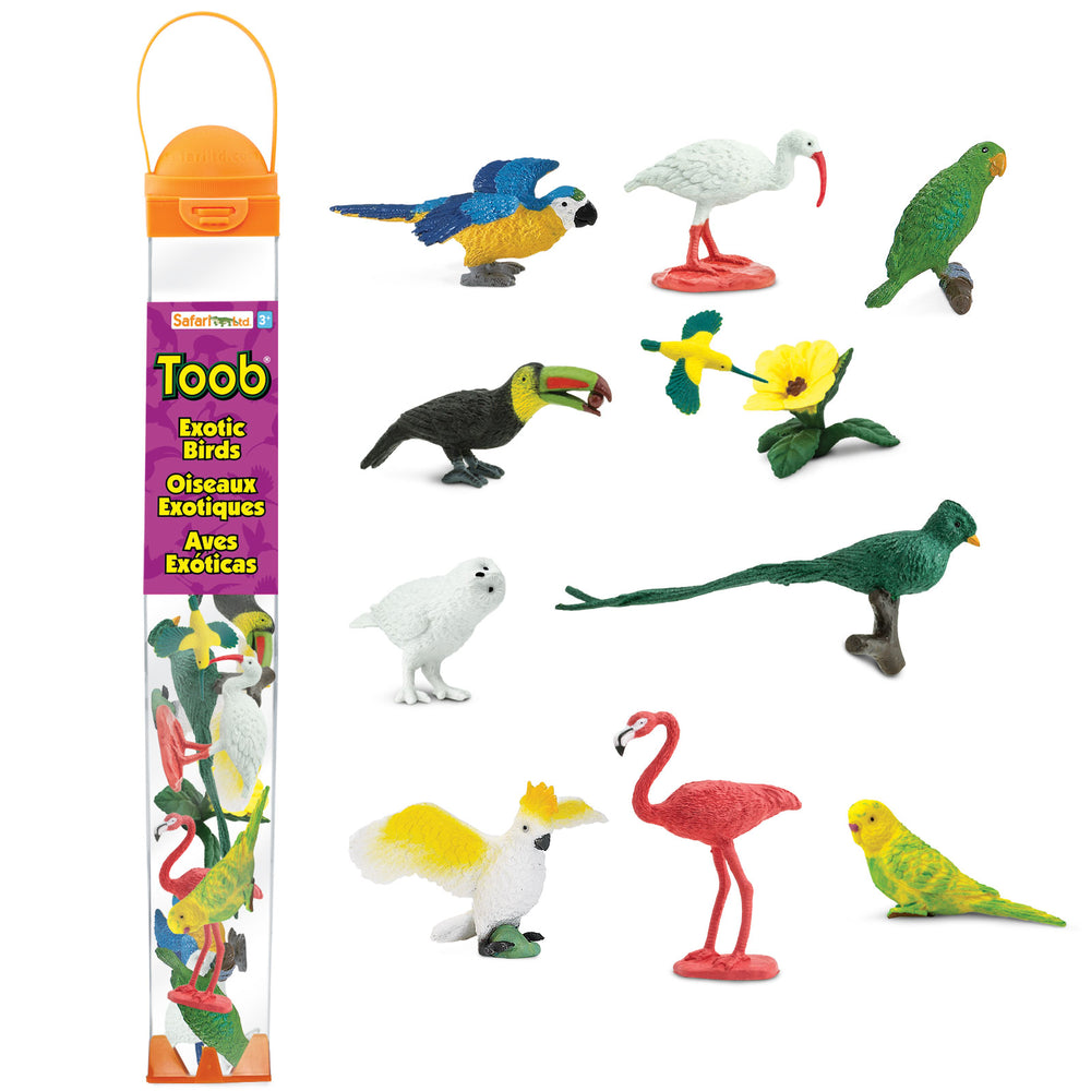 Exotic Birds TOOB® Figurines | Safari Ltd® Bird Toy Set | Safari Ltd®