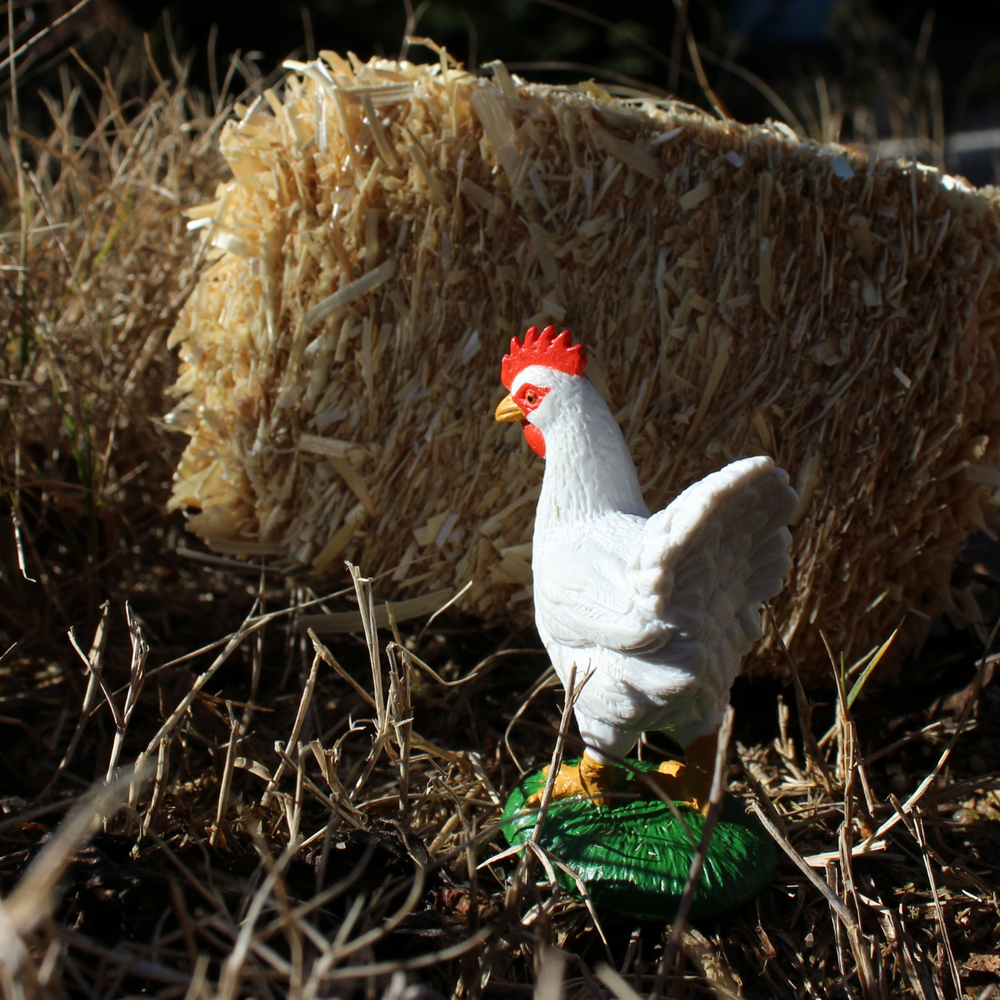 Chicken Toy Animal Figurine – Realistic Farm Hen | Safari Ltd® | Safari ...