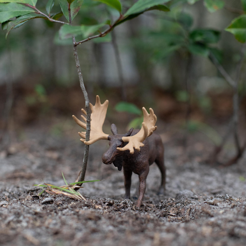 Moose Toy | Safari Ltd®