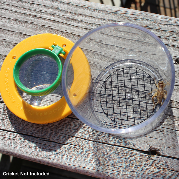 World's Best Bug Jar | Educational Science Toy | Safari Ltd® | Safari Ltd®