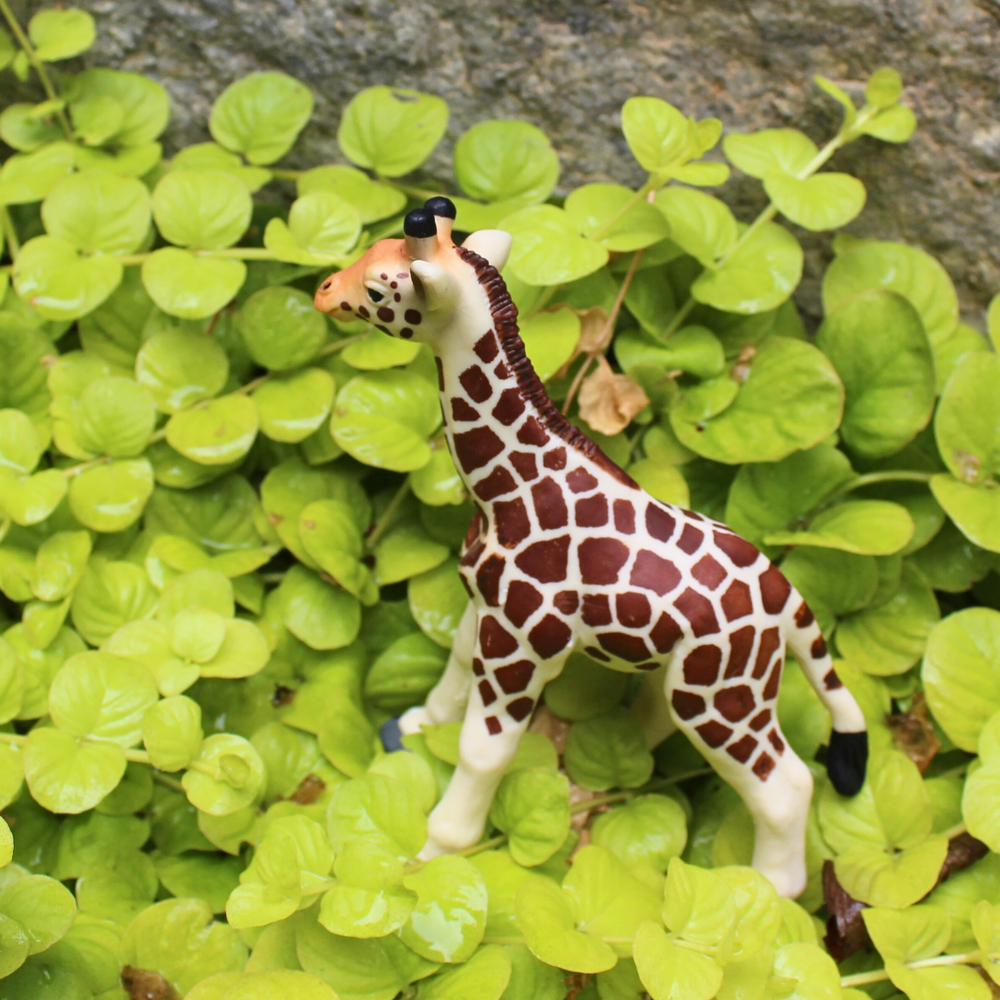 Baby Giraffe Toy Figure – Realistic Wildlife Animal | Safari Ltd ...