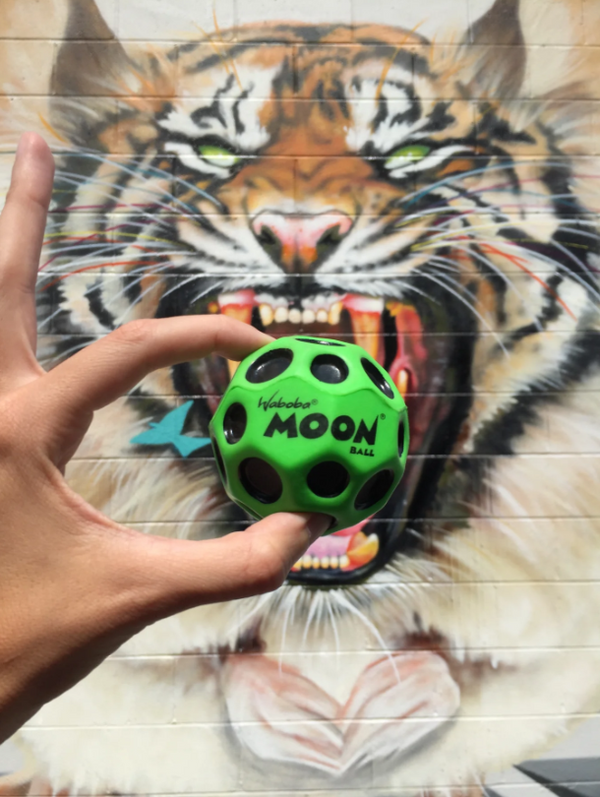 Moon Ball – Hyper Bounce Toy for Epic Play | Safari Ltd® | Safari Ltd®