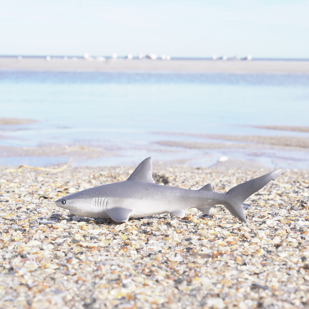 Gray Reef Shark Toy | Safari Ltd®