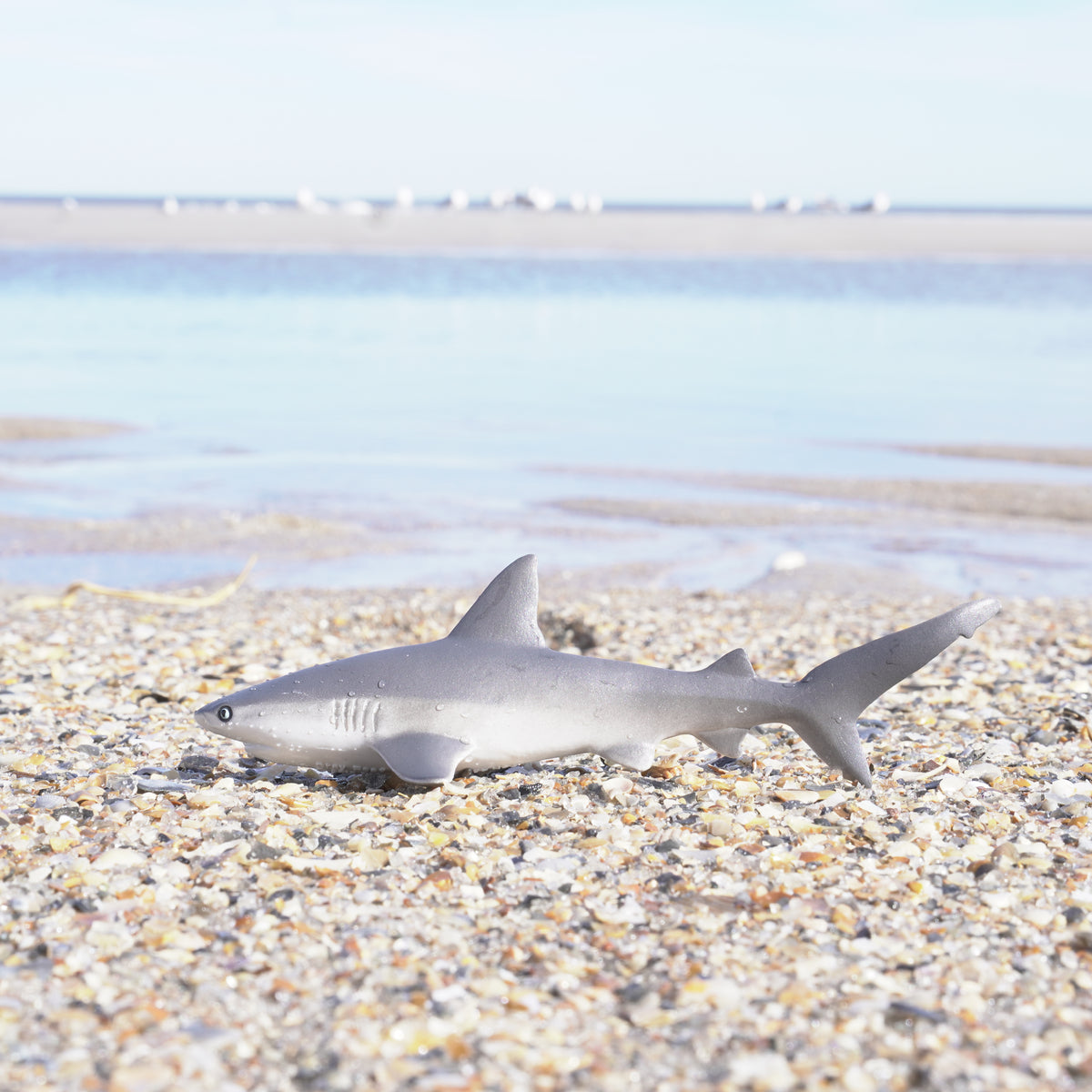 Gray Reef Shark Toy | Safari Ltd®