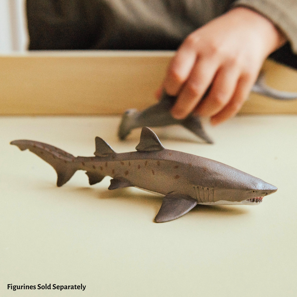 Sand Tiger Shark Toy | Sea Life Toys | Safari Ltd. | Safari Ltd®