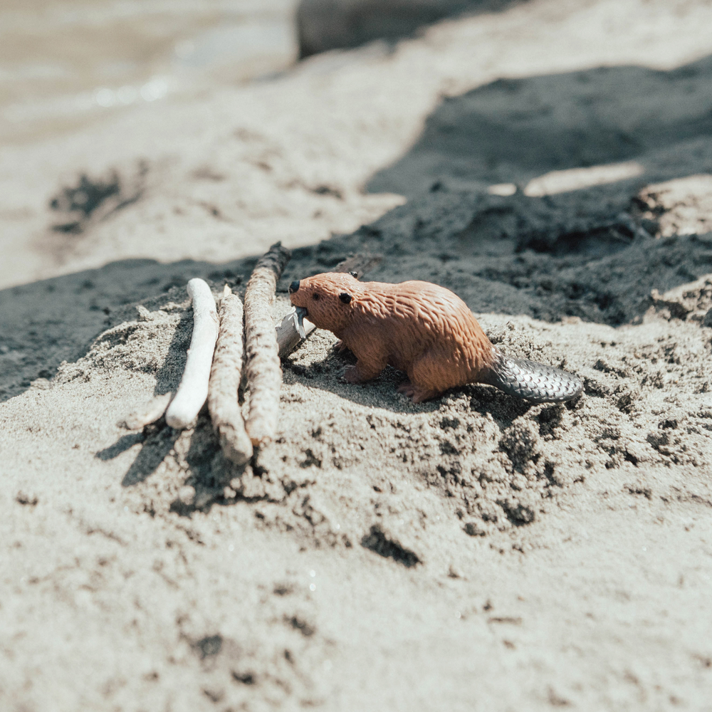 Beaver Toy | Safari Ltd®