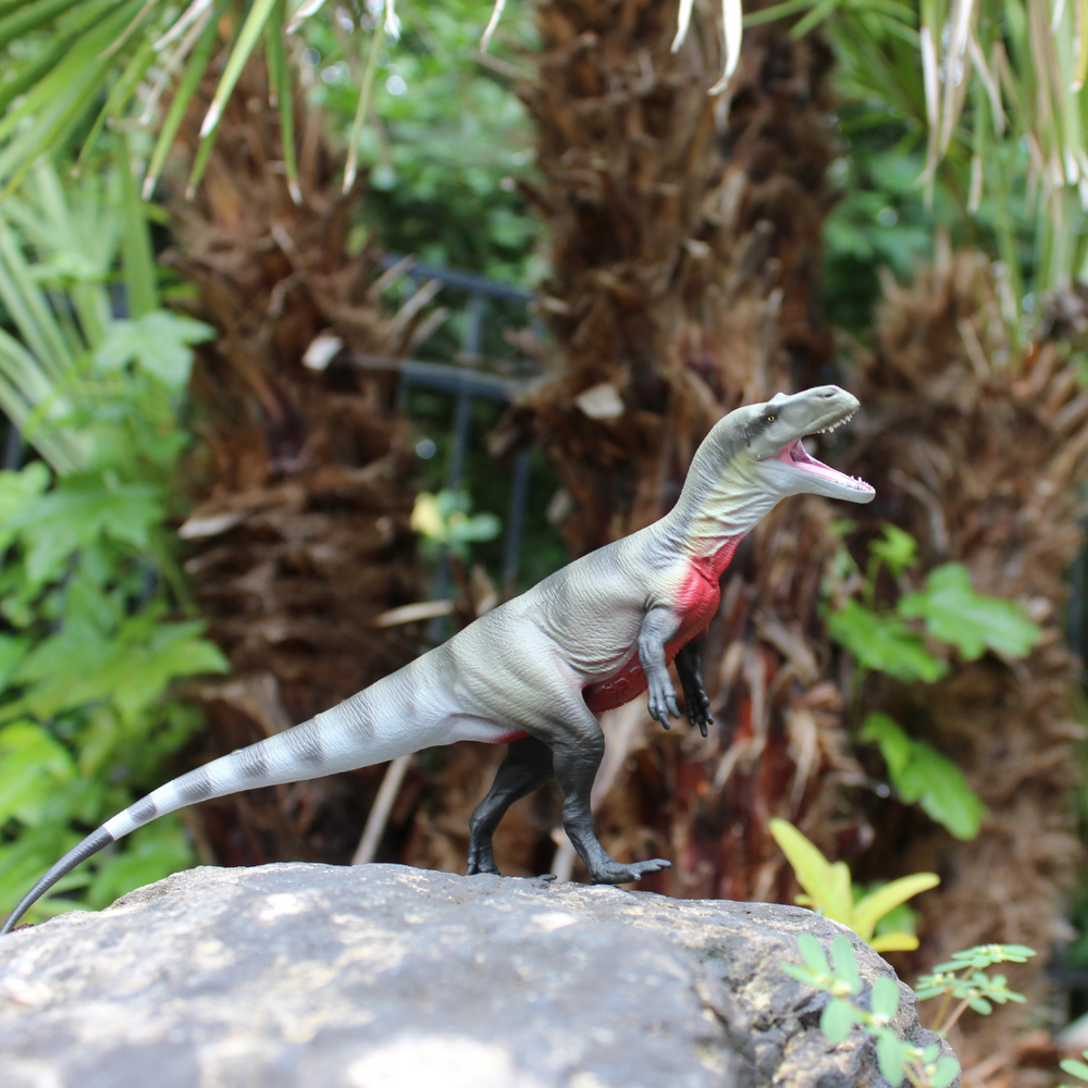 Megalosaurus Toy Figure | Safari Ltd®