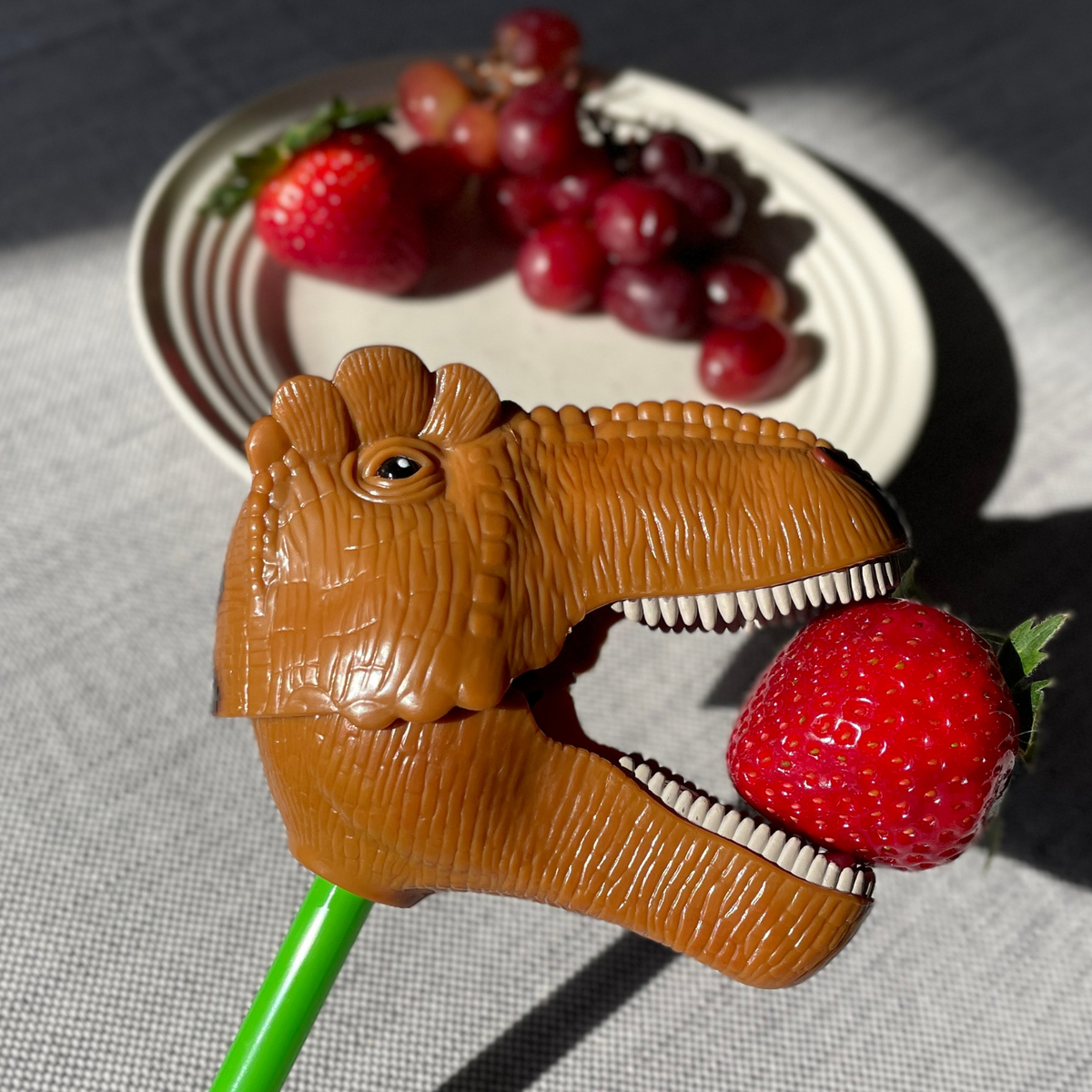 Brown T-Rex Snapper Toy | Dinosaur Toys | Safari Ltd. | Safari Ltd®