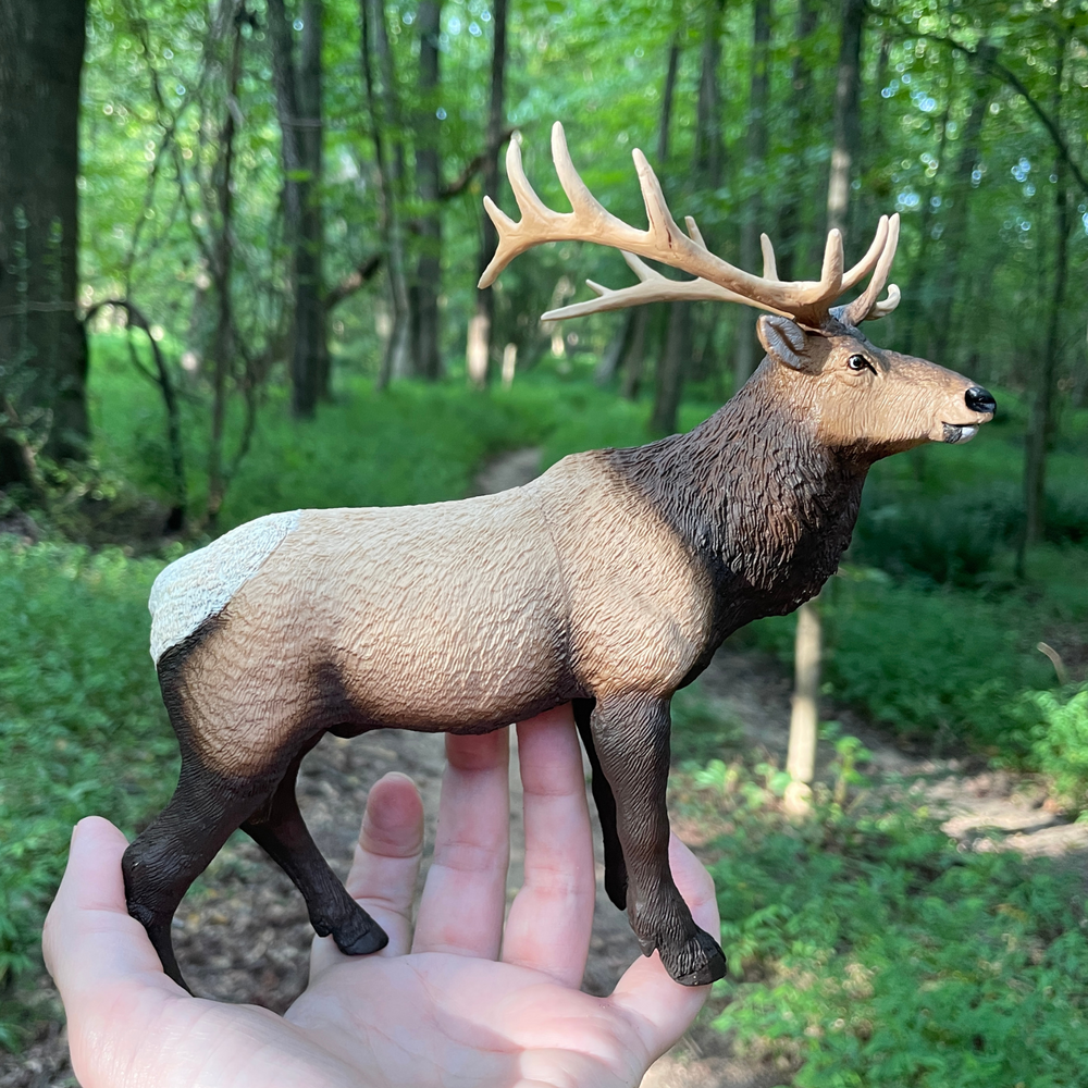Elk Figure – Realistic Animal Toy for Kids, Boys and Girls | Safari Ltd®