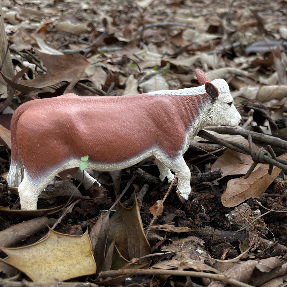 Hereford Cow Toy | Safari Ltd®