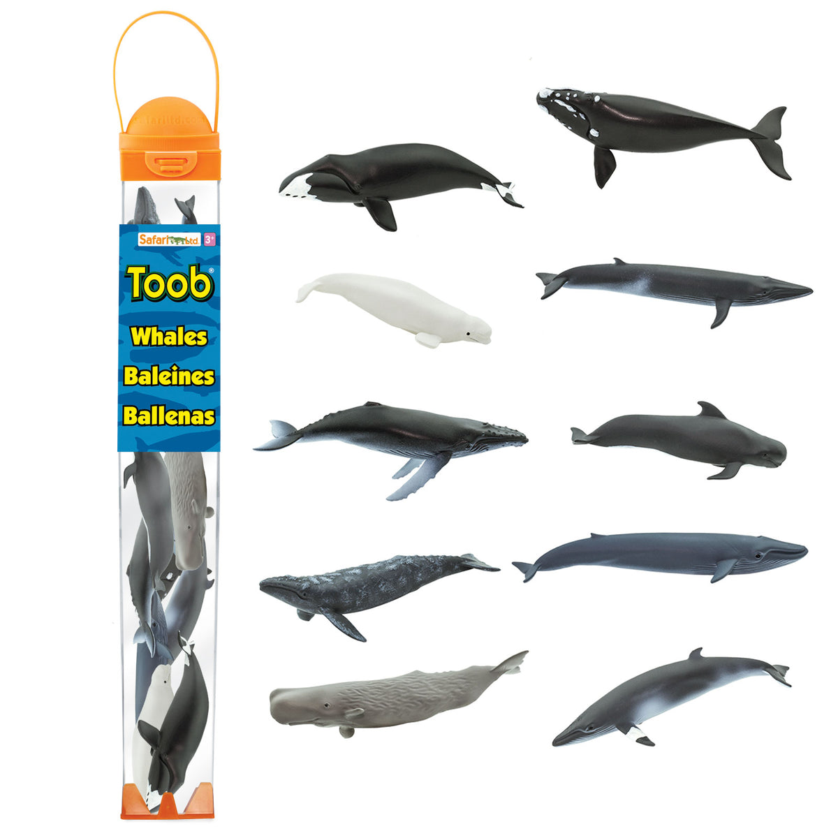 Whale Toys TOOB® | Safari Ltd®