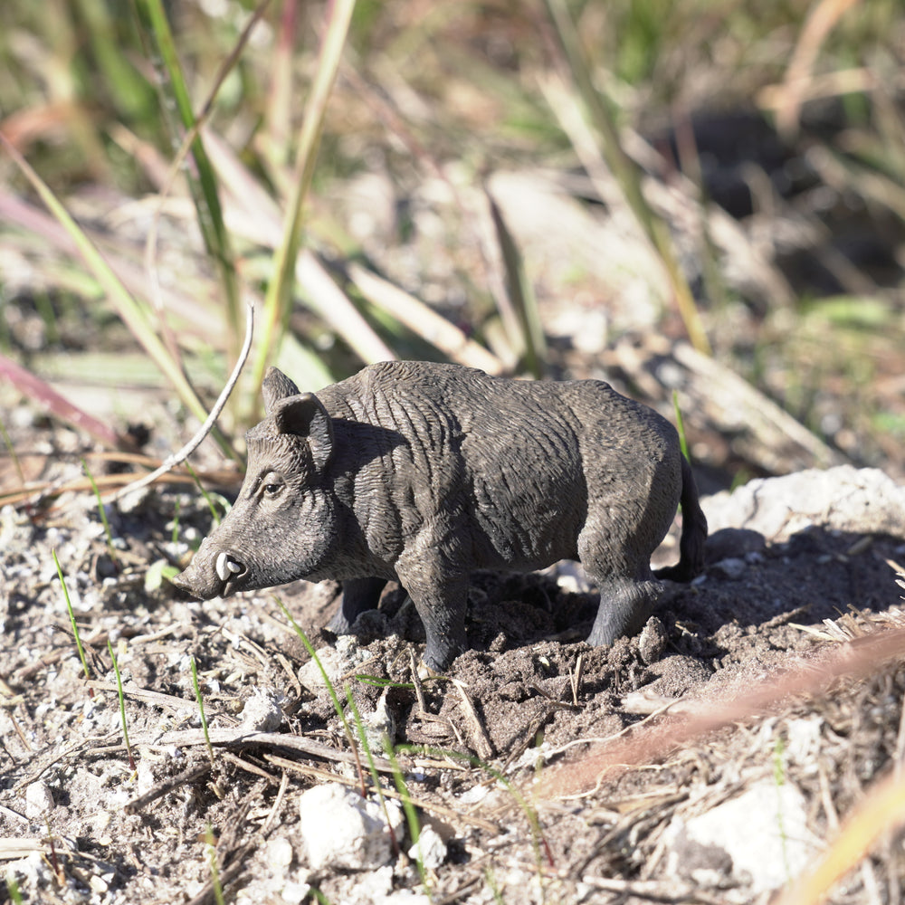 Boar Figurine – Realistic Wildlife Toy | Safari Ltd® | Safari Ltd®