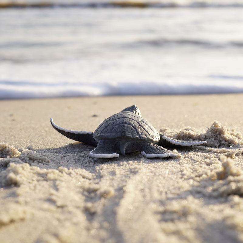 Sea Turtle Baby Reptile Toy | Safari Ltd®