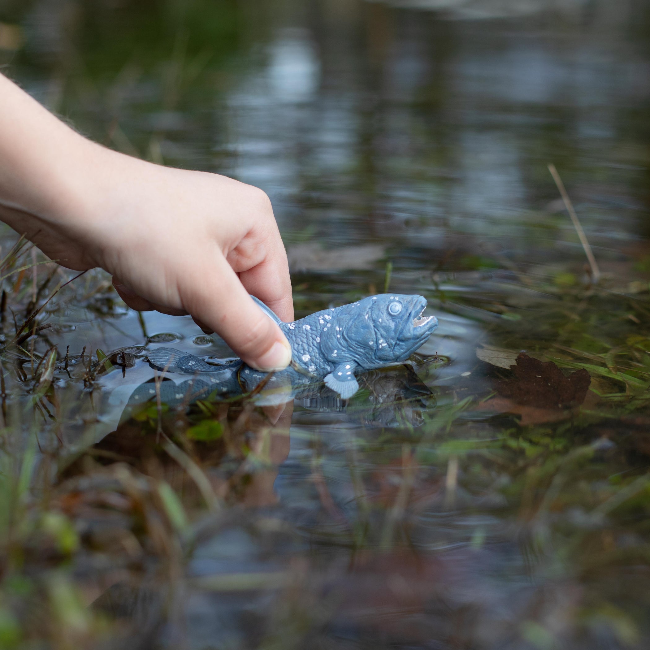 Coelacanth Toy | Dinosaur Toys | Safari Ltd®