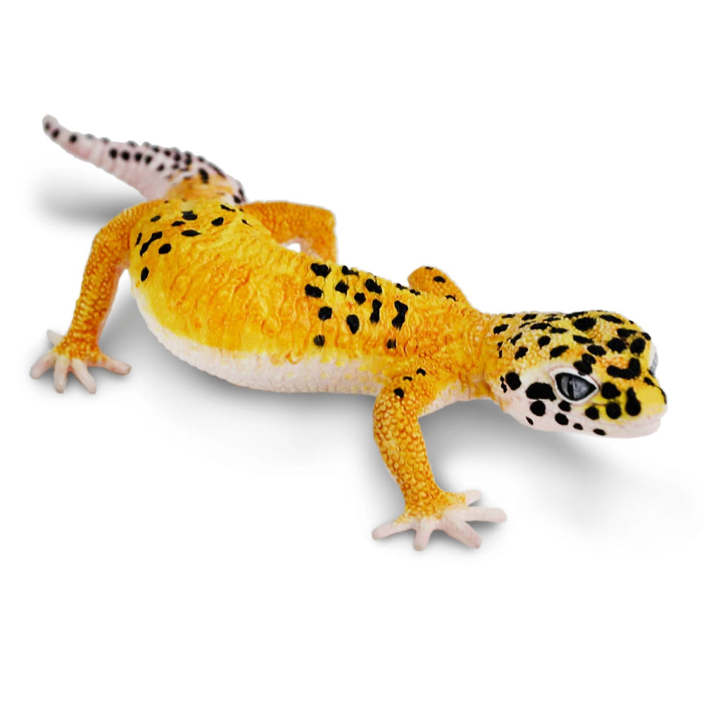 Leopard Gecko Toy | Safari Ltd®