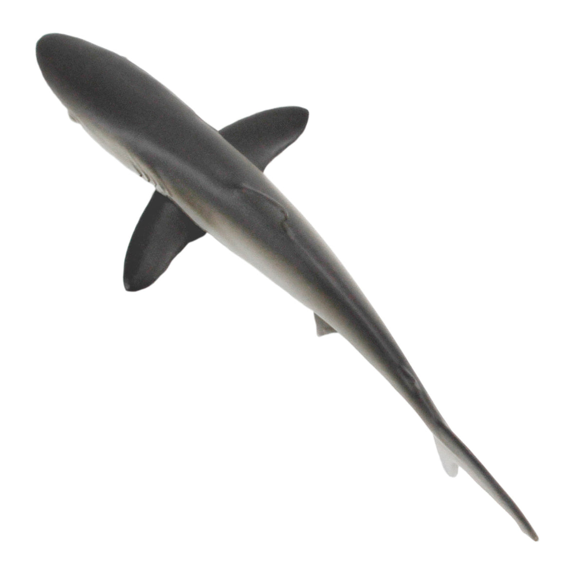 Silky Shark Toy Figure | Safari Ltd®