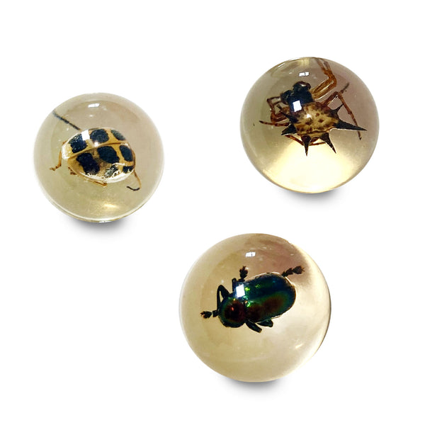 Safari Ltd Geoworld Bug Marbles | Safari Ltd®