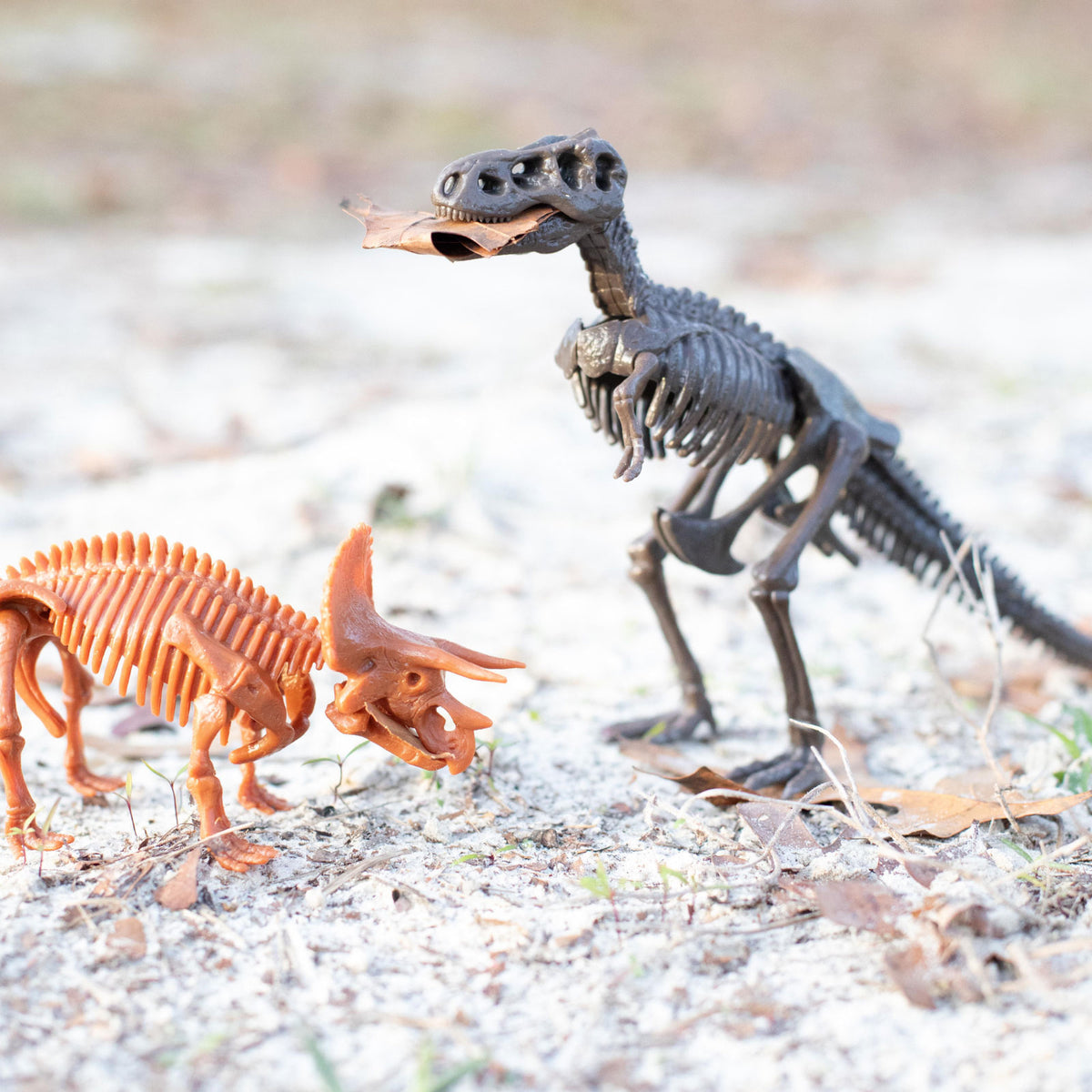 Dr. Steve Hunters GEOWorld Paleo Adventures Excavation Kit T-Rex vs. T ...