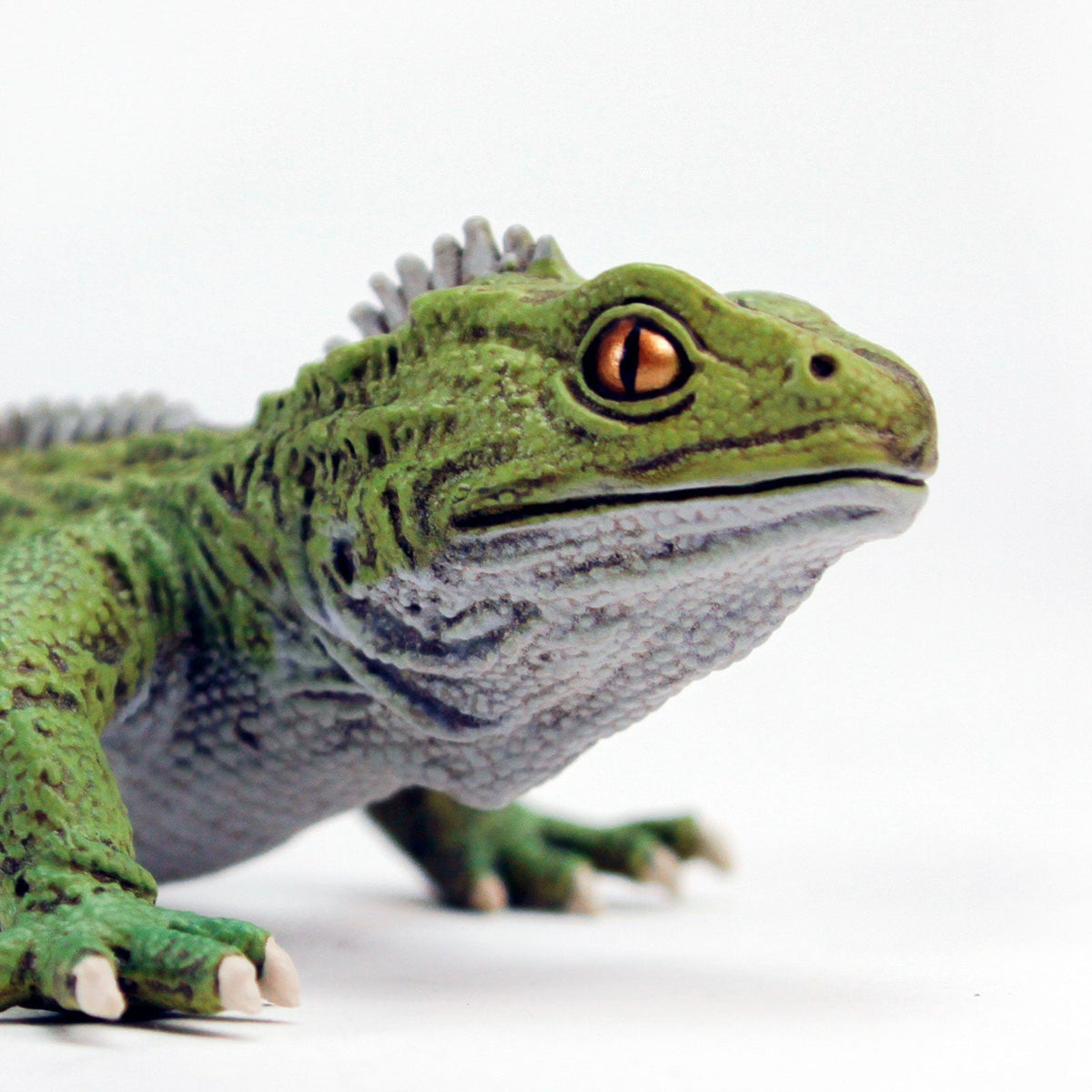 Tuatara Toy Figure | Safari Ltd®