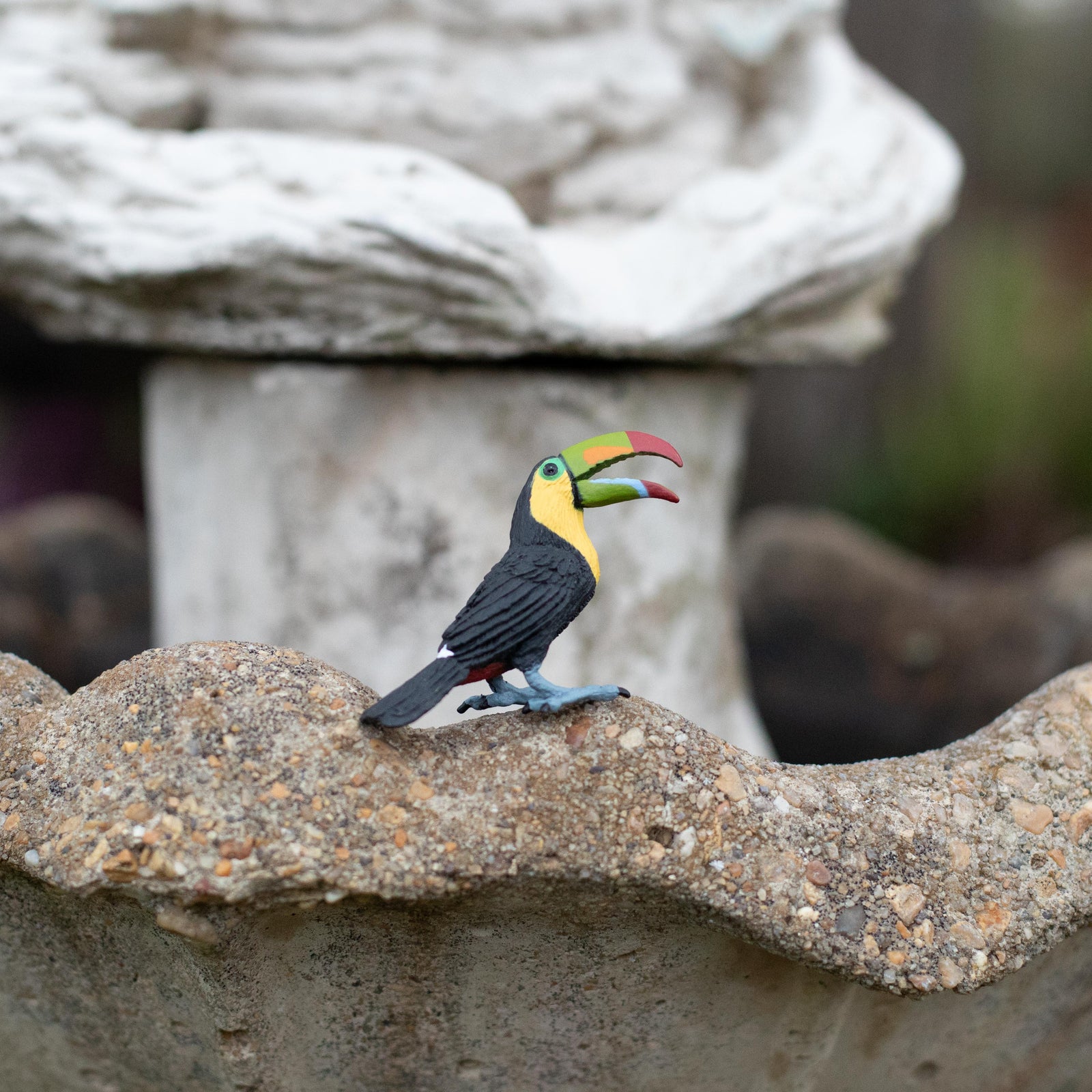 Toucan Bird Toy Figurine – Realistic & Educational | Safari Ltd ...