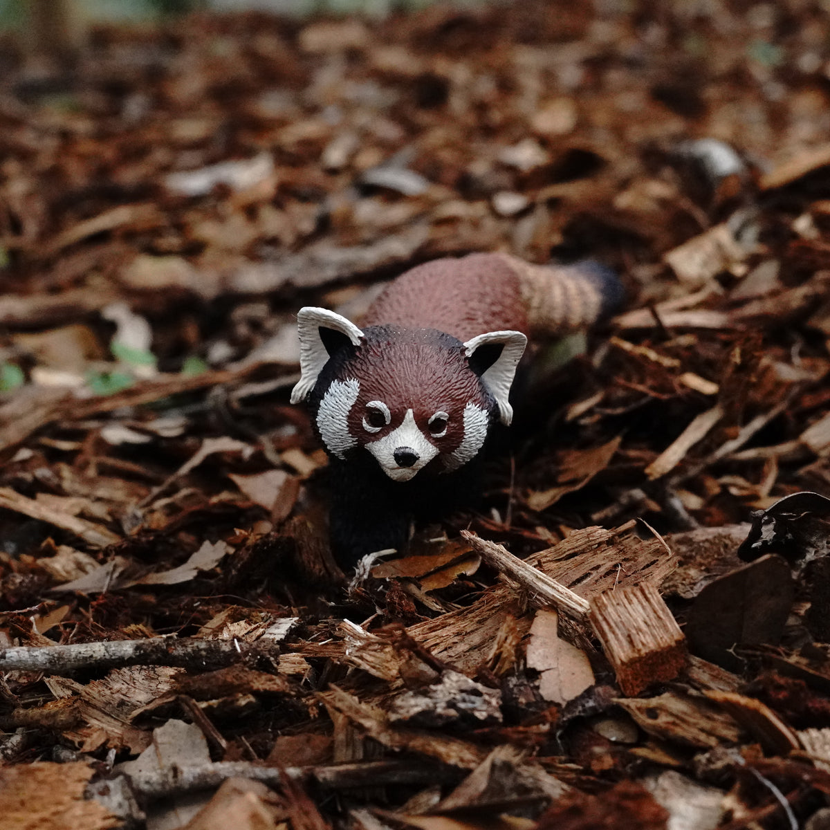 Red Panda Toy Figurine | Safari Ltd® Wild Wildlife Collection | Safari Ltd®