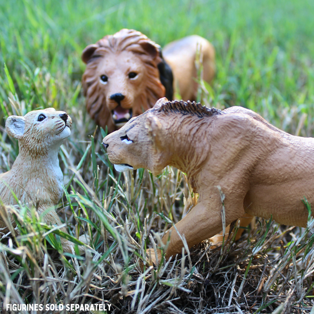Adolescent Male Lion Figure – Realistic Animal Toy for Kids, Boys and ...