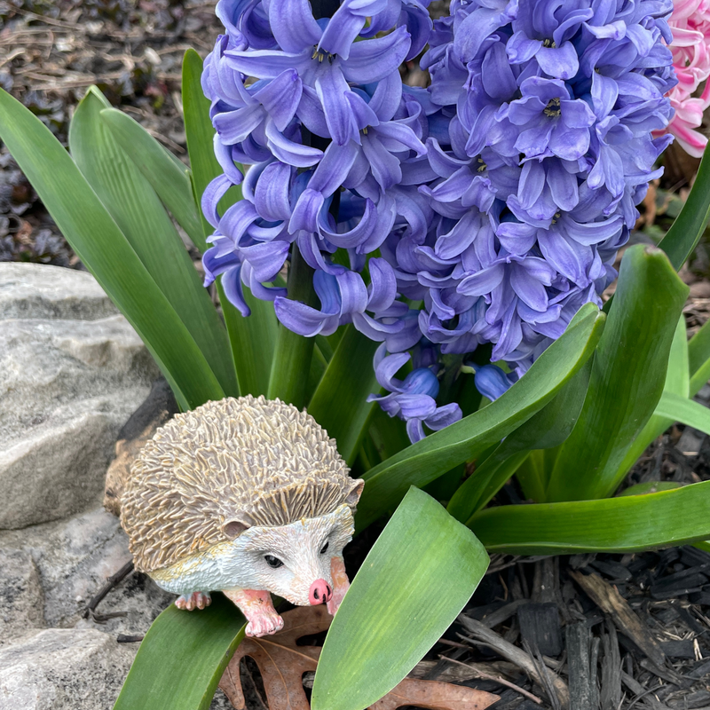 Hedgehog Figure – Realistic Animal Toy for Kids, Boys and Girls ...