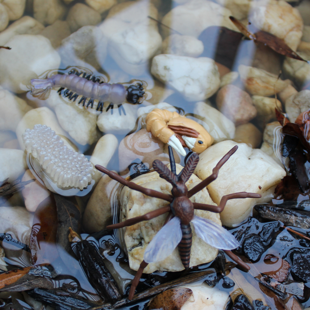 Life Cycle of a Mosquito – Realistic Insect Toy Set for Kids, Boys and ...