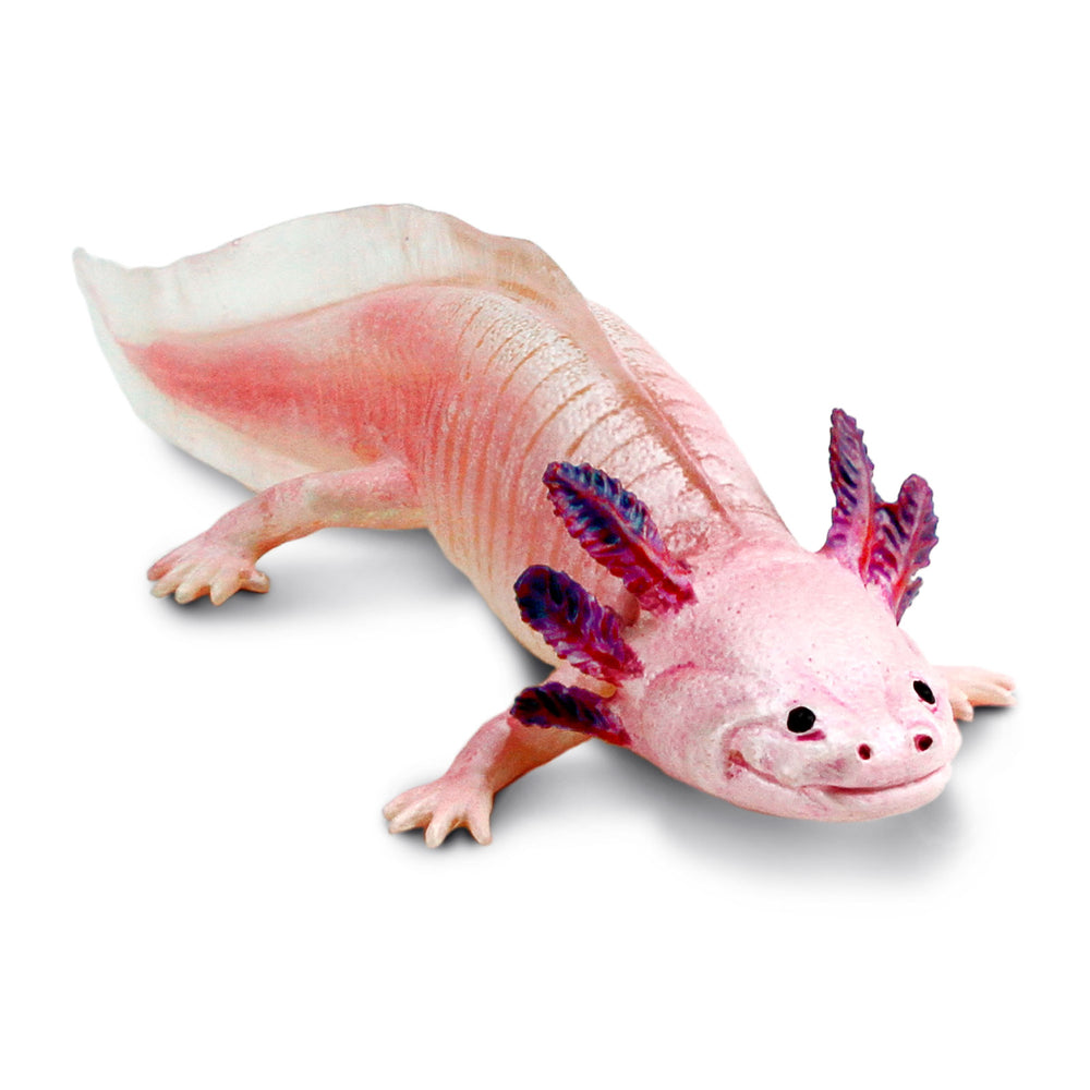 Axolotl Toy Figure | Safari Ltd®