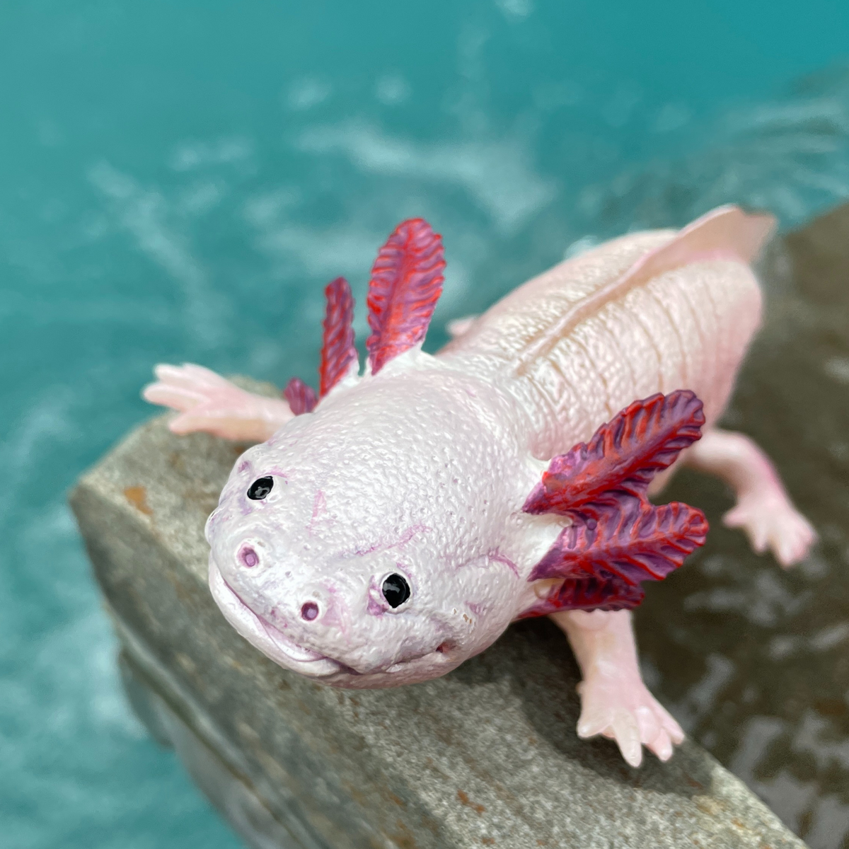 Axolotl Toy Figure | Safari Ltd®