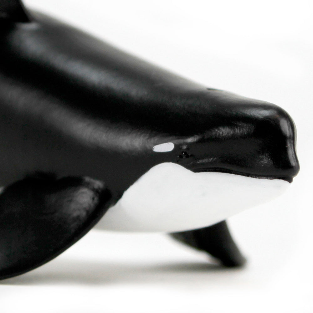 Type D Orca Toy Figure - Unique Sub-Antarctic Killer Whale | Wild ...