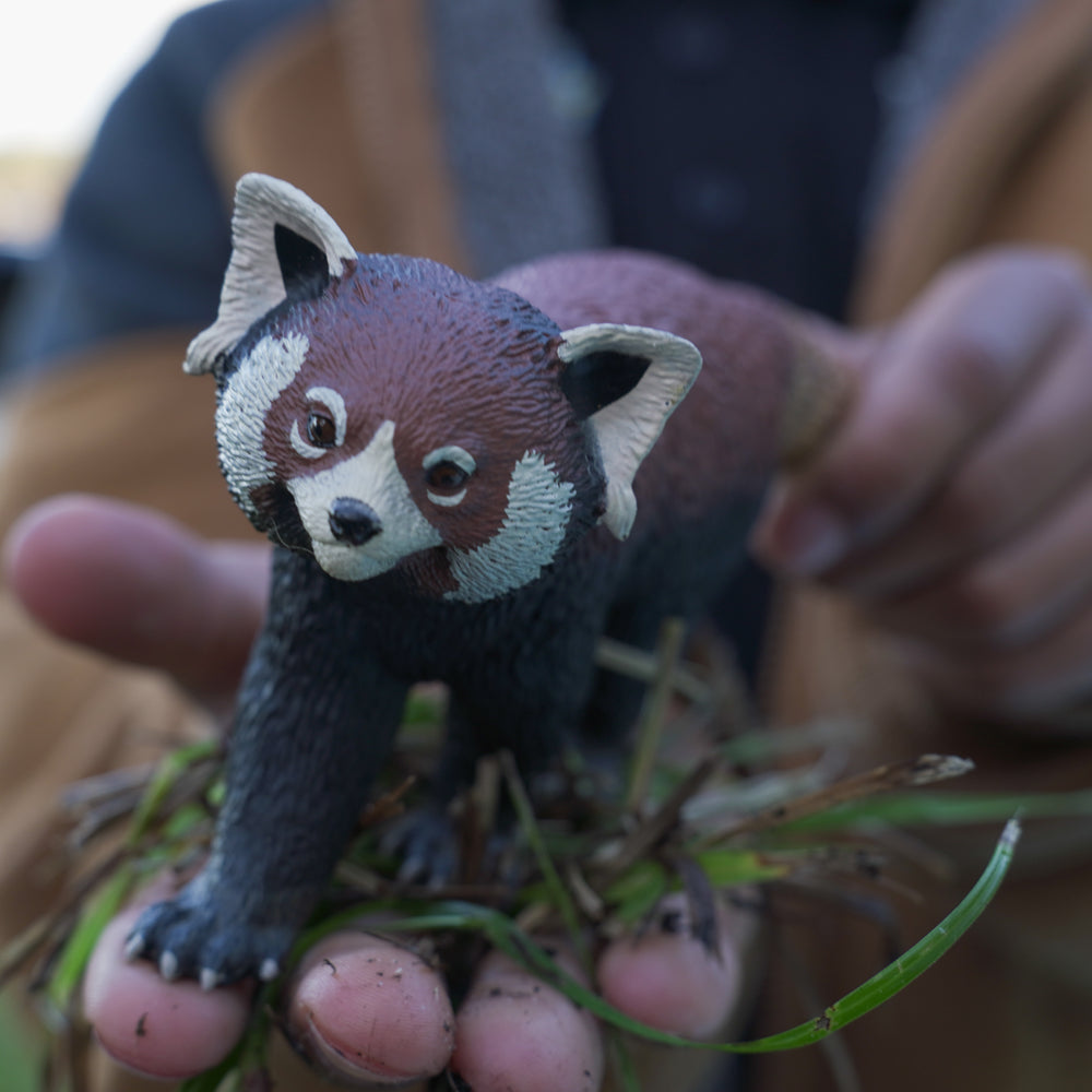 Red Panda Toy Figurine | Safari Ltd® Wild Wildlife Collection | Safari Ltd®