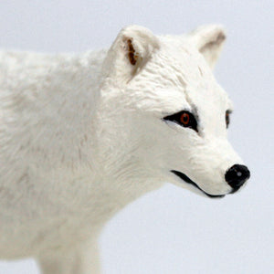 Arctic Fox Toy Figure | Safari Ltd®
