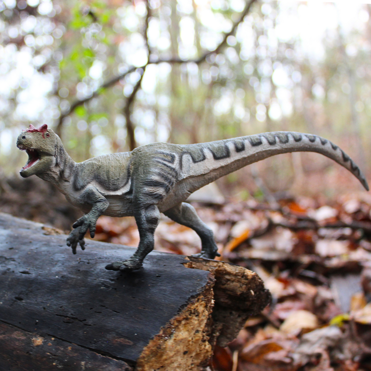 Allosaurus Figure – Realistic Dinosaur Toy for Kids, Boys and Girls ...