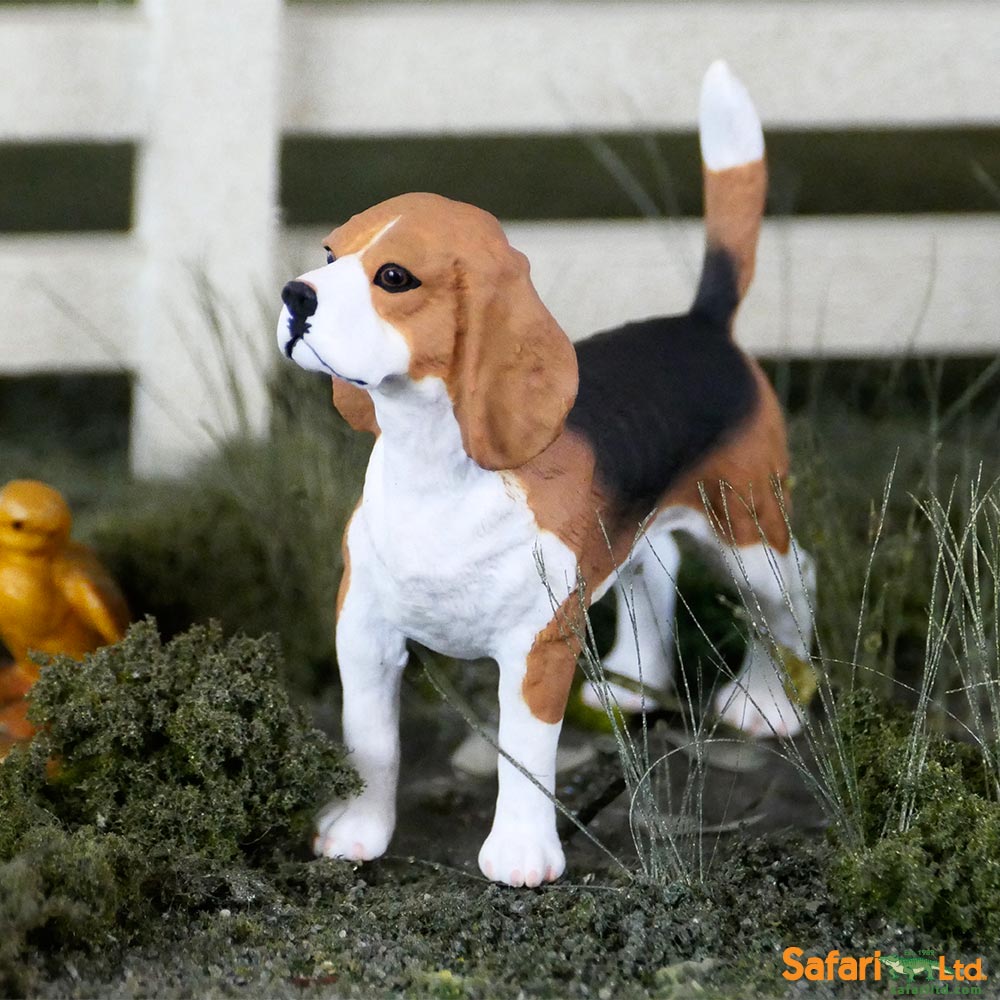 Beagle Figurine – Realistic Dog Toy | Safari Ltd® | Safari Ltd®