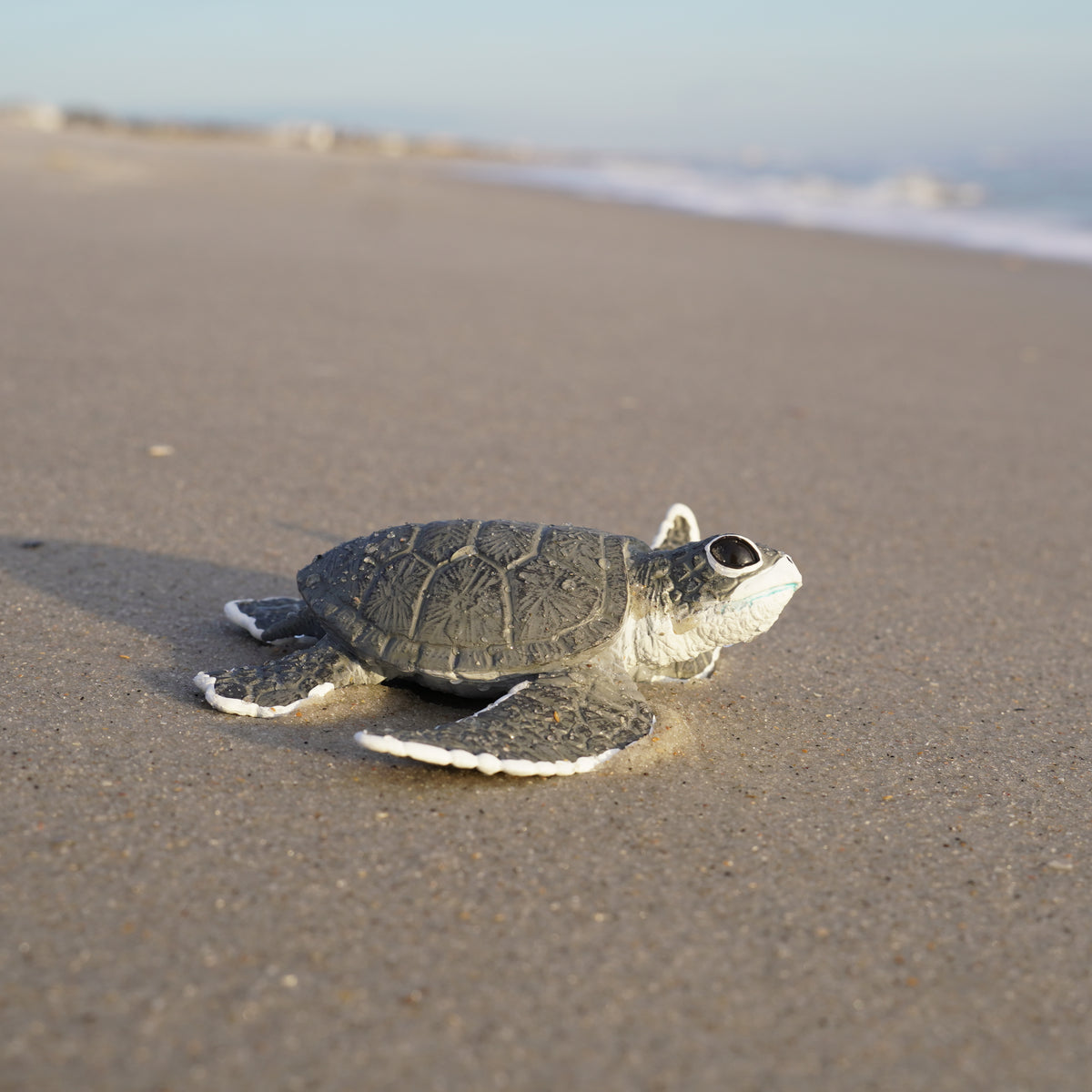 Sea Turtle Baby Reptile Toy | Safari Ltd®