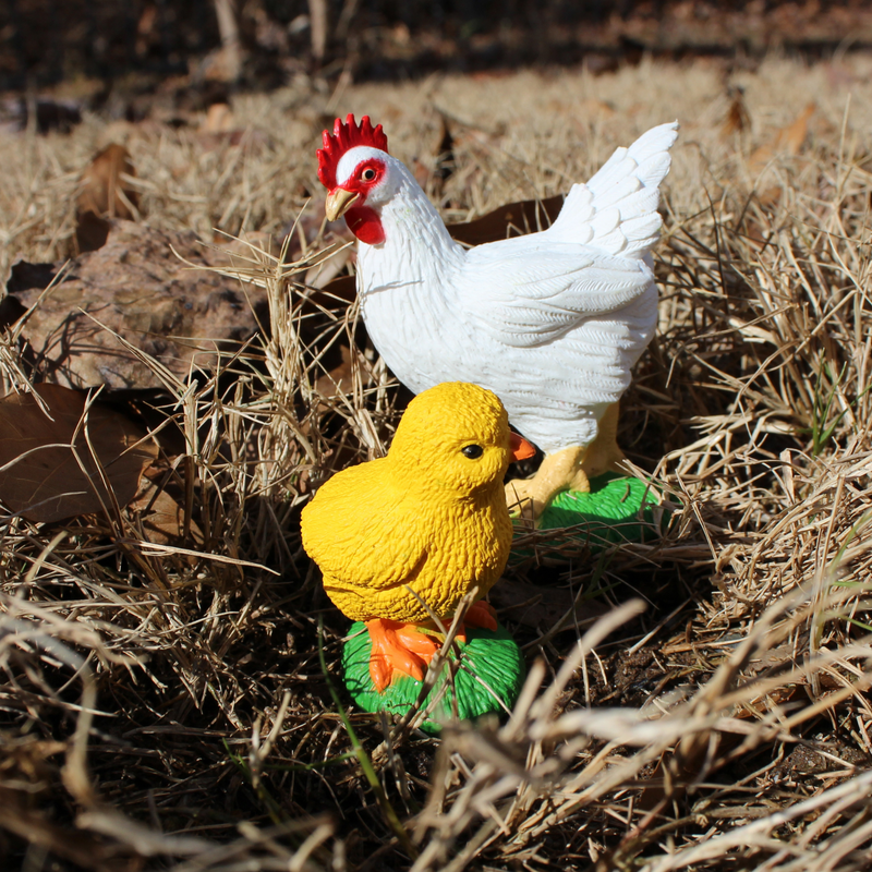 Life Cycle of a Chicken | Safari Ltd®