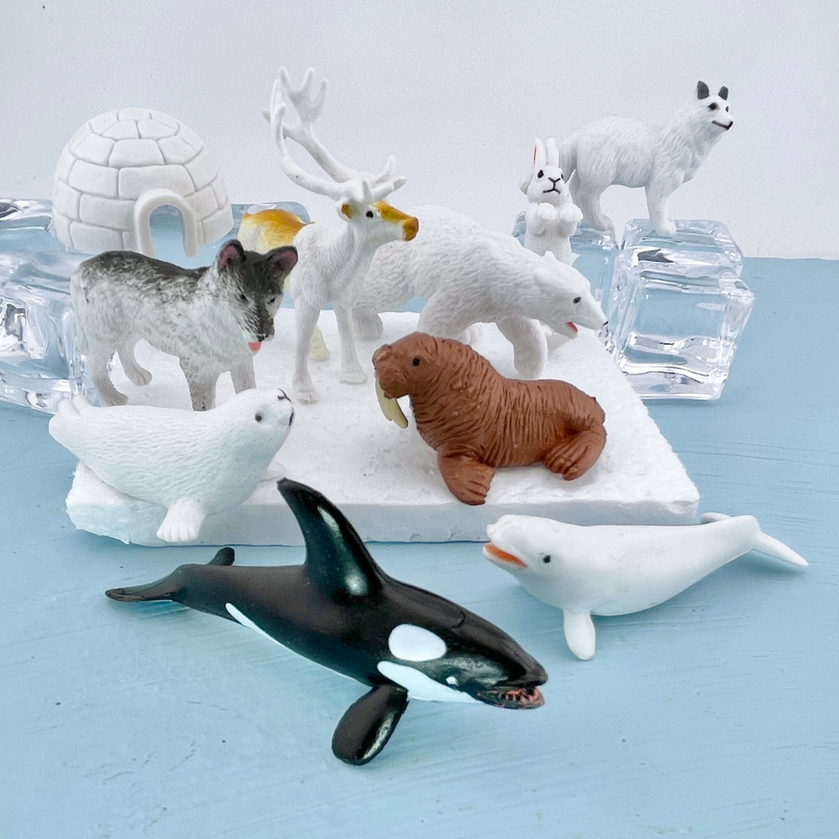 Arctic Animals TOOB® – Educational Animal Figurines | Safari Ltd ...