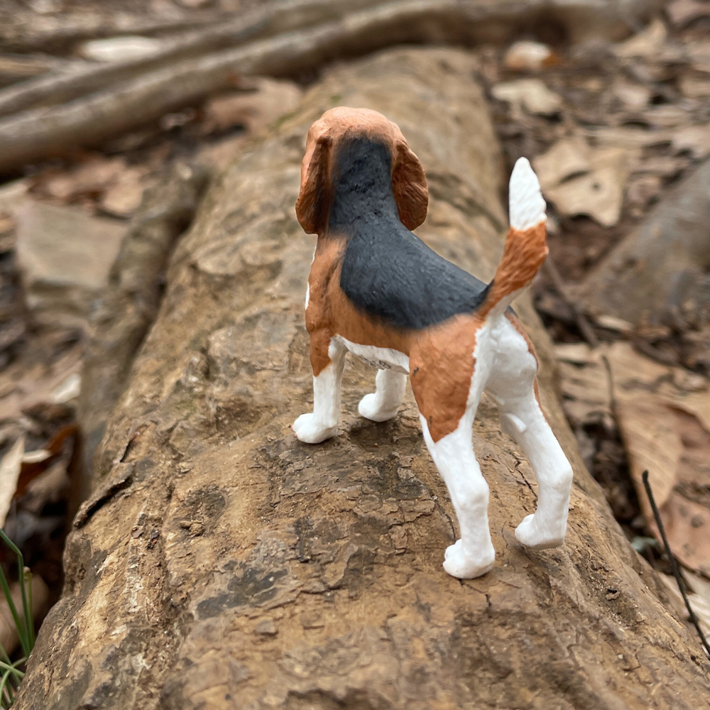 Beagle Figurine – Realistic Dog Toy | Safari Ltd® | Safari Ltd®
