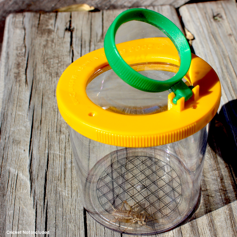 World's Best Bug Jar | Educational Science Toy | Safari Ltd®