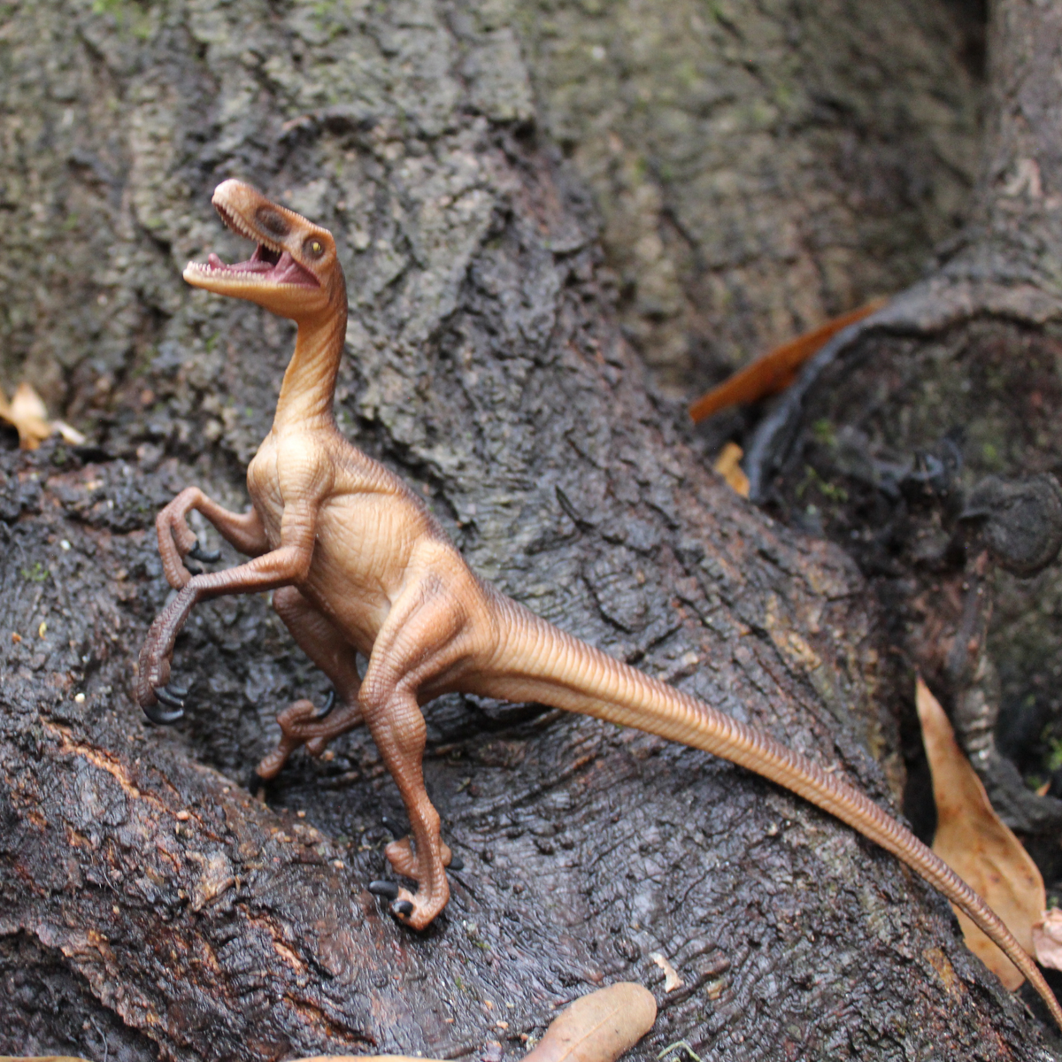 Velociraptor Dinosaur Toy | Realistic Prehistoric Model | Safari Ltd ...