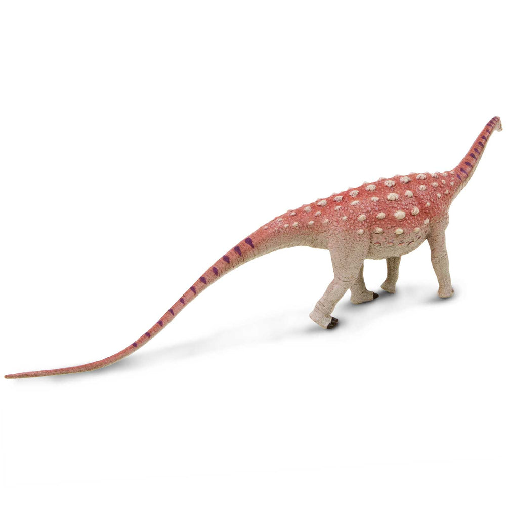 Saltasaurus Dinosaur Toy Figure | Safari Ltd®