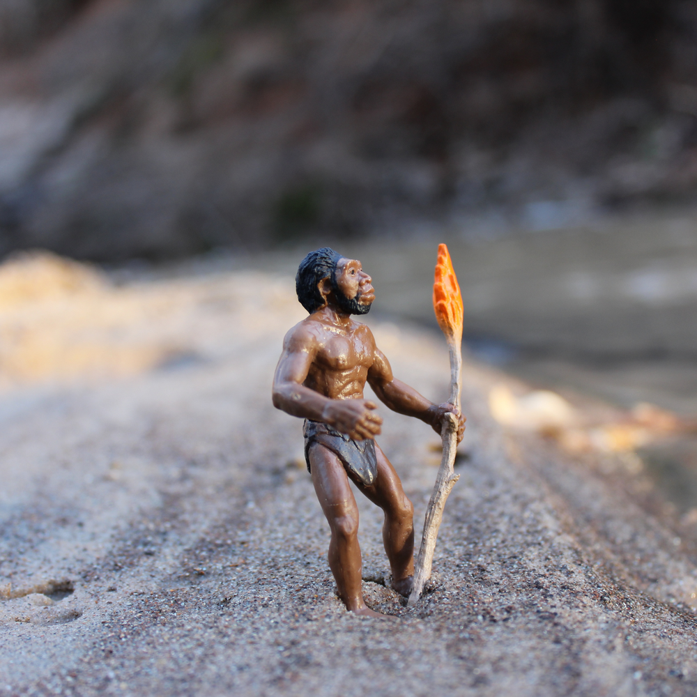 Evolution of Man | Montessori Toys | Safari Ltd. | Safari Ltd®