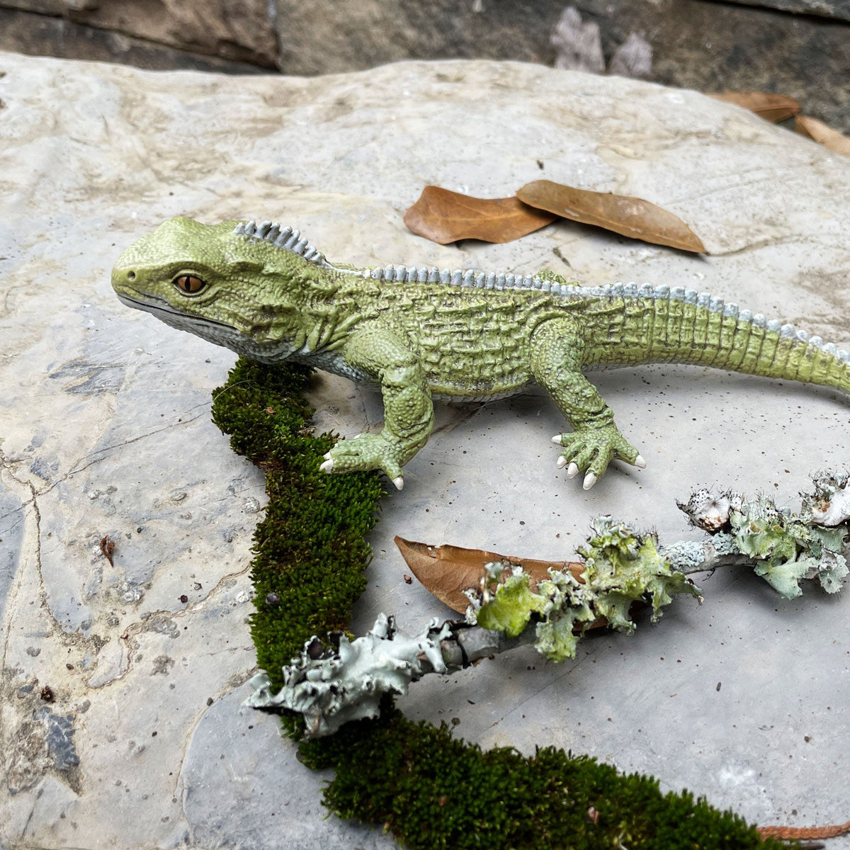 Tuatara Toy Figure | Safari Ltd®