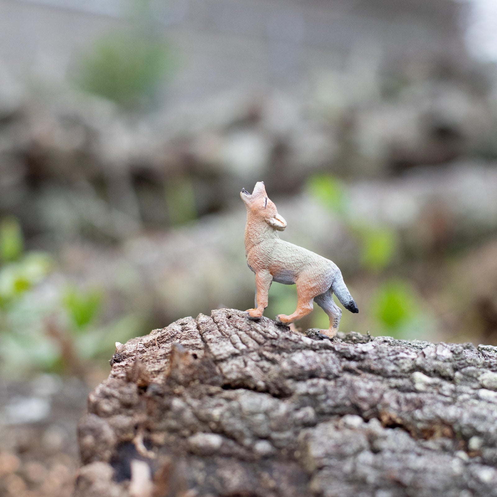 Coyote Pup Toy | Wildlife Animal Toys | Safari Ltd. | Safari Ltd®