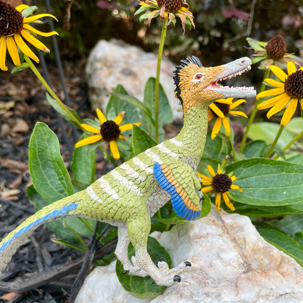 Austroraptor Toy | Safari Ltd®