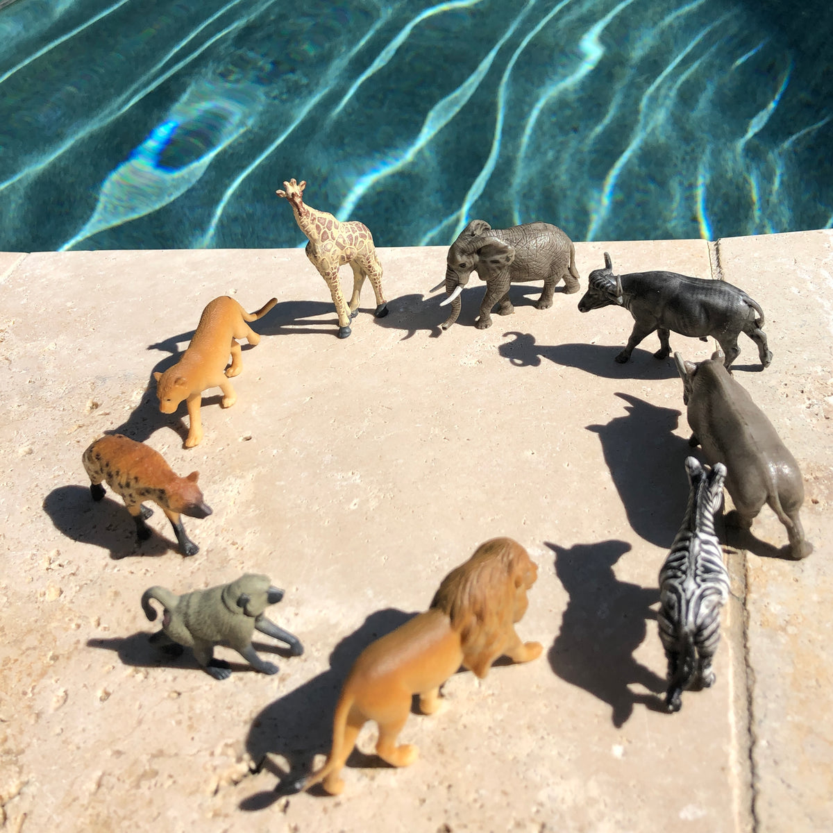 South African Animals TOOB® – Mini Animal Figures | Safari Ltd ...