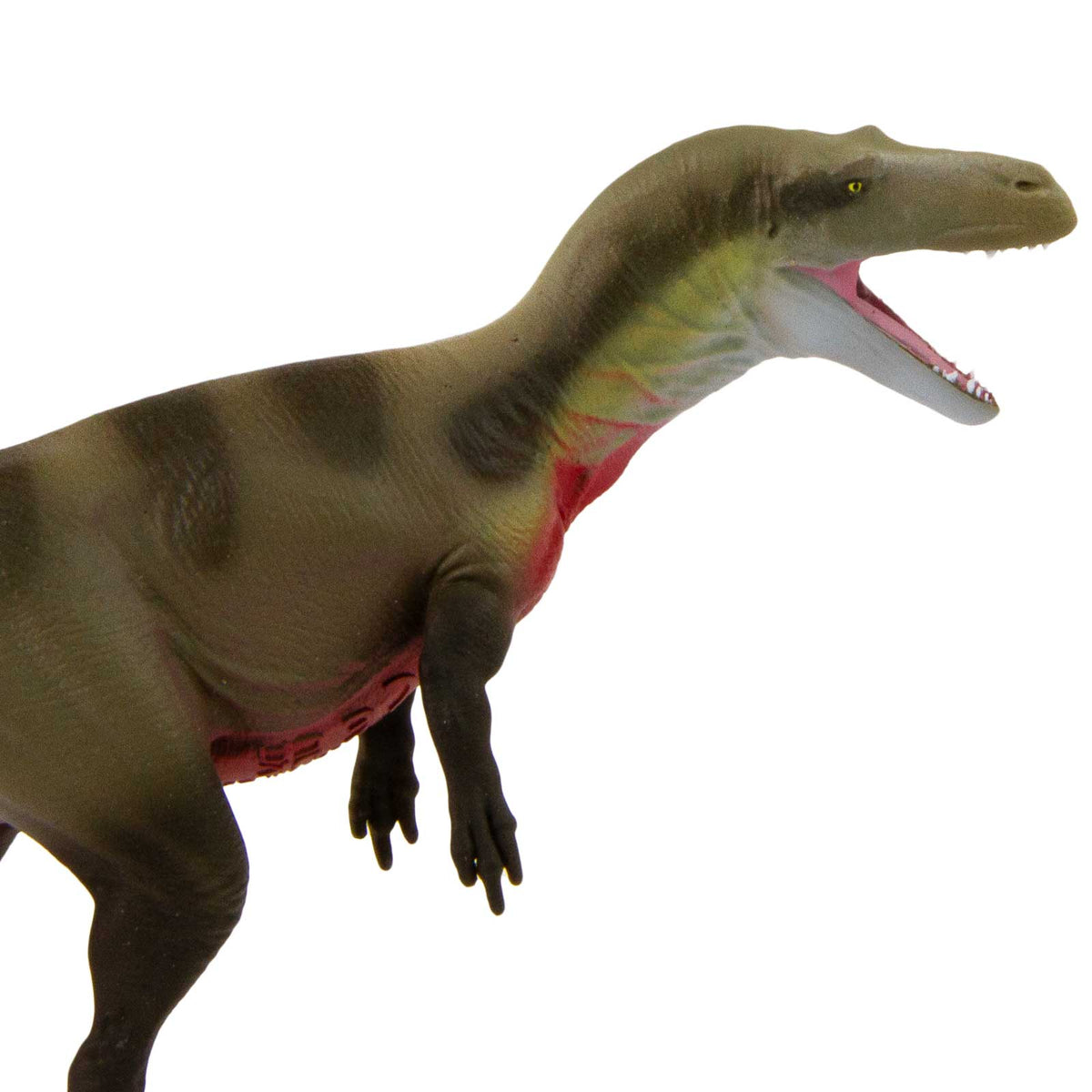 Megalosaurus Toy Figure | Safari Ltd®