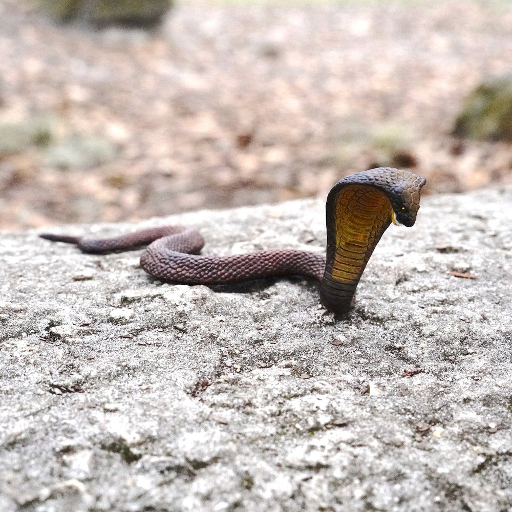 Wild Safari Wildlife Cobra Figurine – Realistic Snake Model | Safari ...